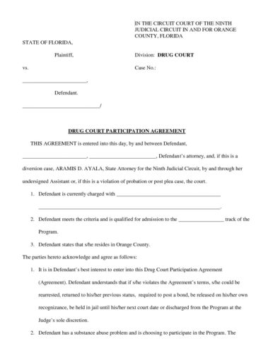 Drug Court Agreement Combined - Bryce A. Fetter